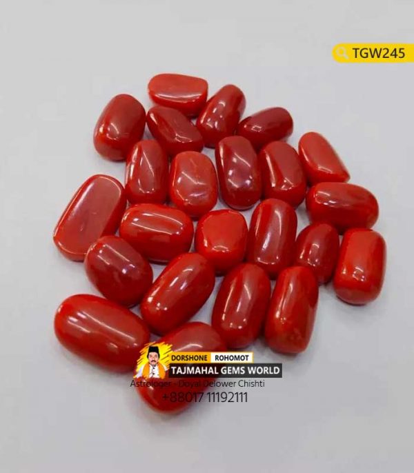 Buy Natural Japanese Red Coral /Lal Moonga Best Price in BD