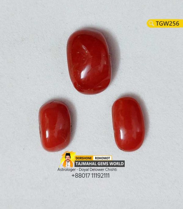 Buy Natural Japanese Red Coral /Lal Moonga Best Price in BD
