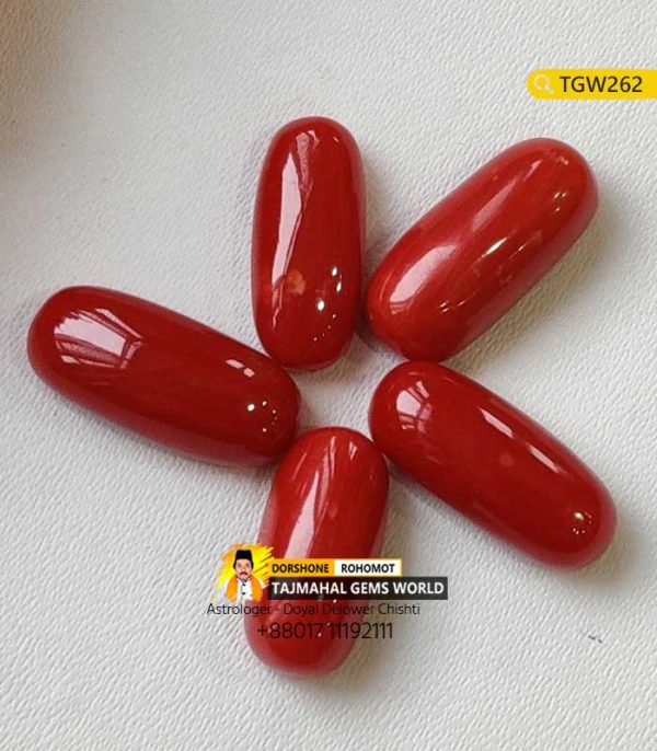 Buy Natural Japanese Red Coral /Lal Moonga Best Price in BD